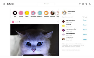 Portifólio - Bárbara Gama